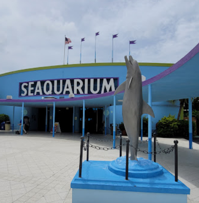 Miami Seaquarium | Precio de Tickets, Telefono y Horarios