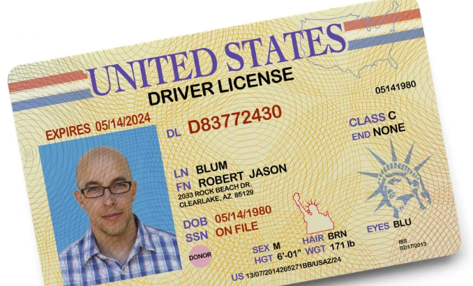 Como Chequear, Sacar Cita y Verificar la Licencia de Conducir