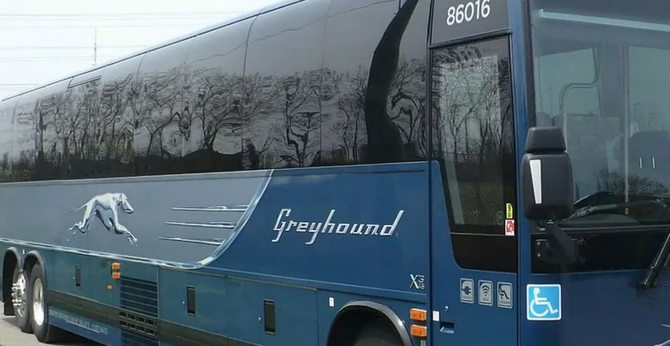 Greyhound Bus en Español: Número de Teléfono, Terminales, Oficinas