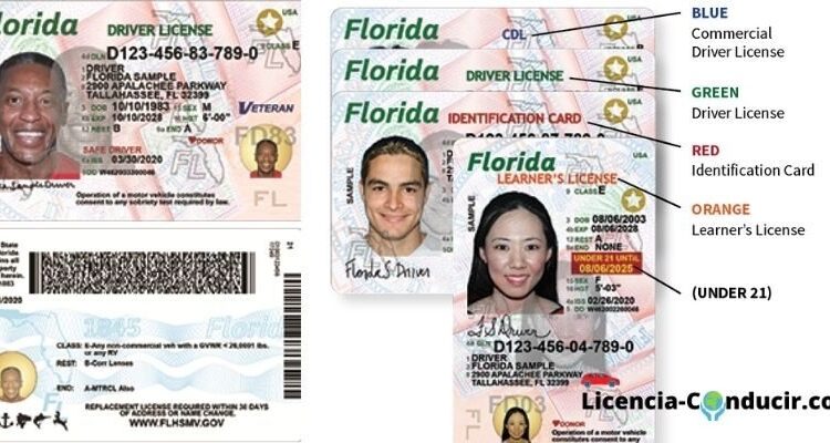 Cómo sacar una cita para licencia de conducir en Tampa Florida