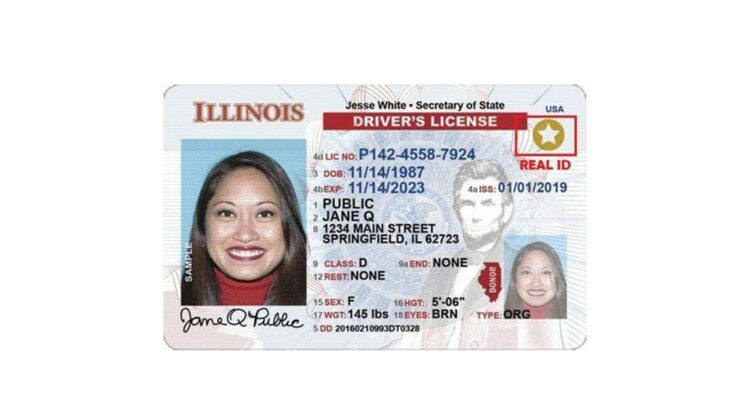 Dmv Princeton Illinois - Teléfono, Oficina, Horarios