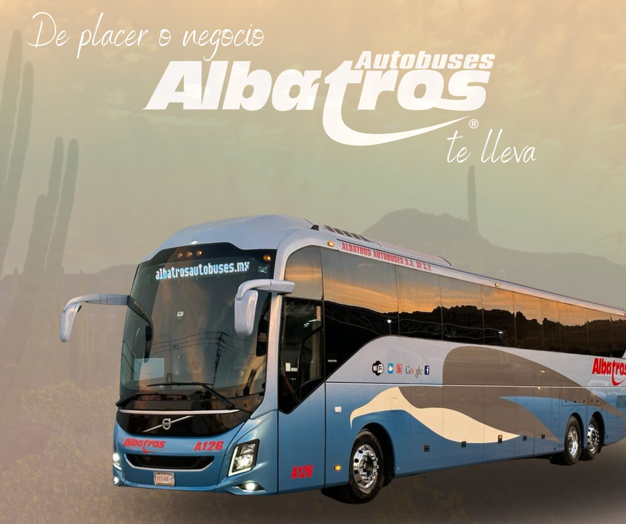 Albatros Autobuses Teléfono y Horarios: Toda la Información Completa